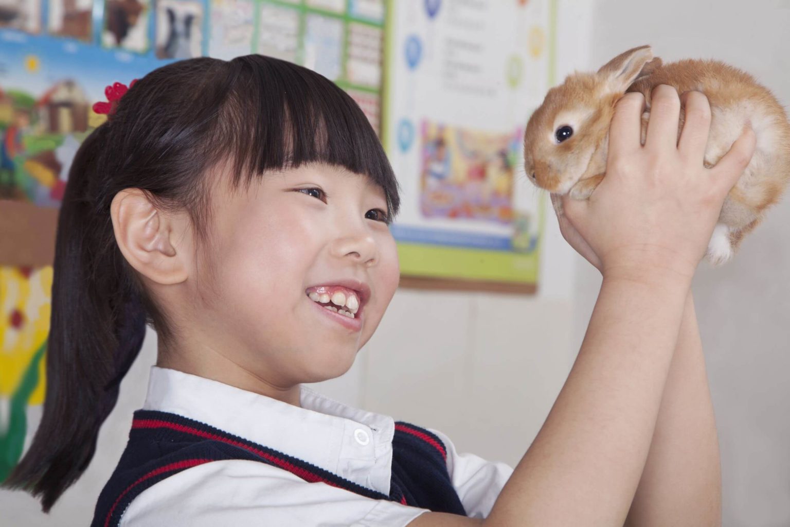 A Teacher’s Guide to Classroom Pets - TeachHUB