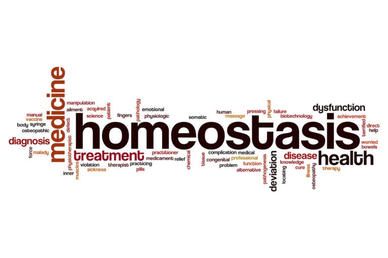 Homeostasis and Feedback Mechanism - TeachHUB
