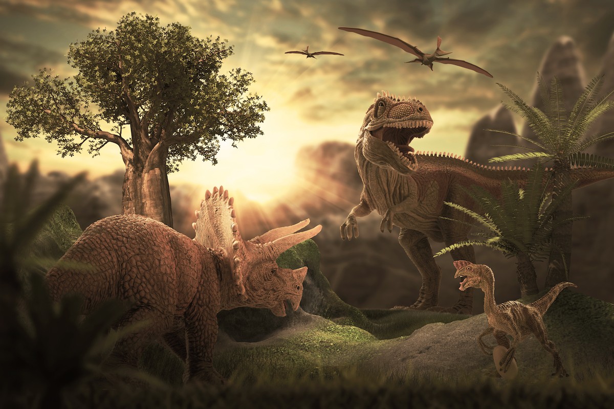 Dinosaurs Today? - TeachHUB