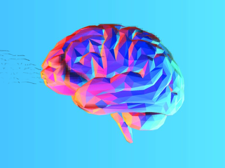 Brain Science and Education - TeachHUB