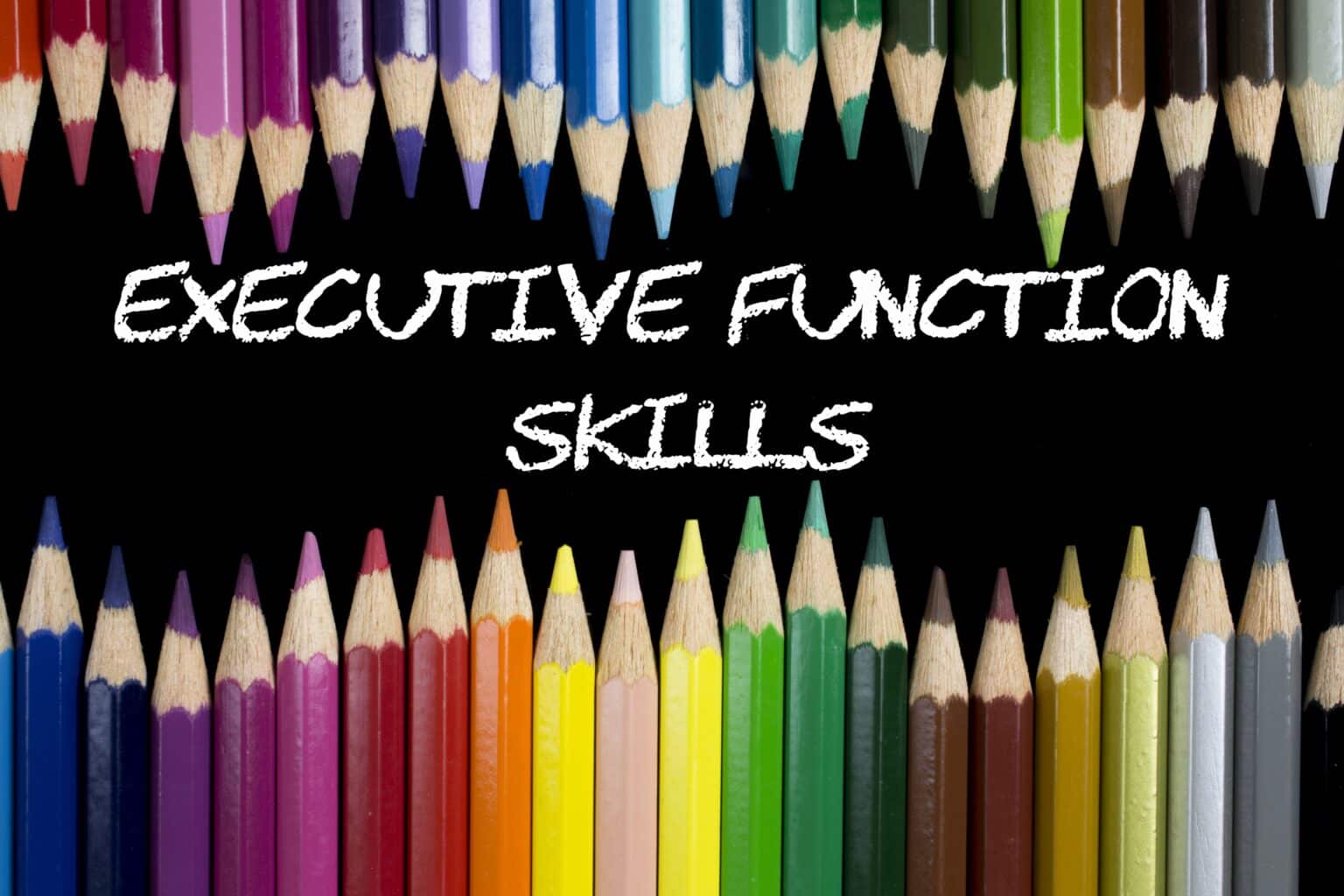 Practical Strategies for Supporting Executive Function in the Classroom ...